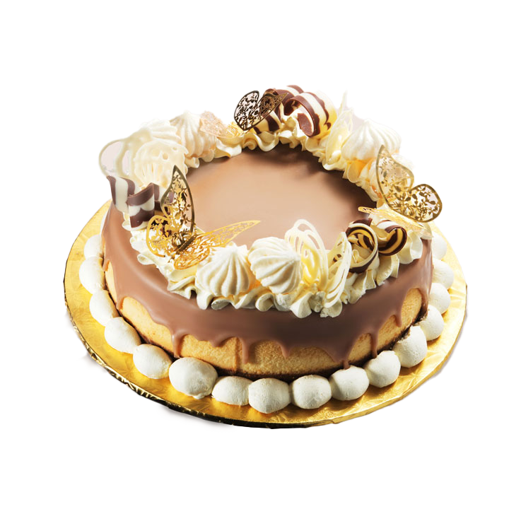 Oasis Cheese Cake